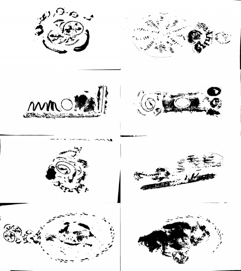 Coño Pdf