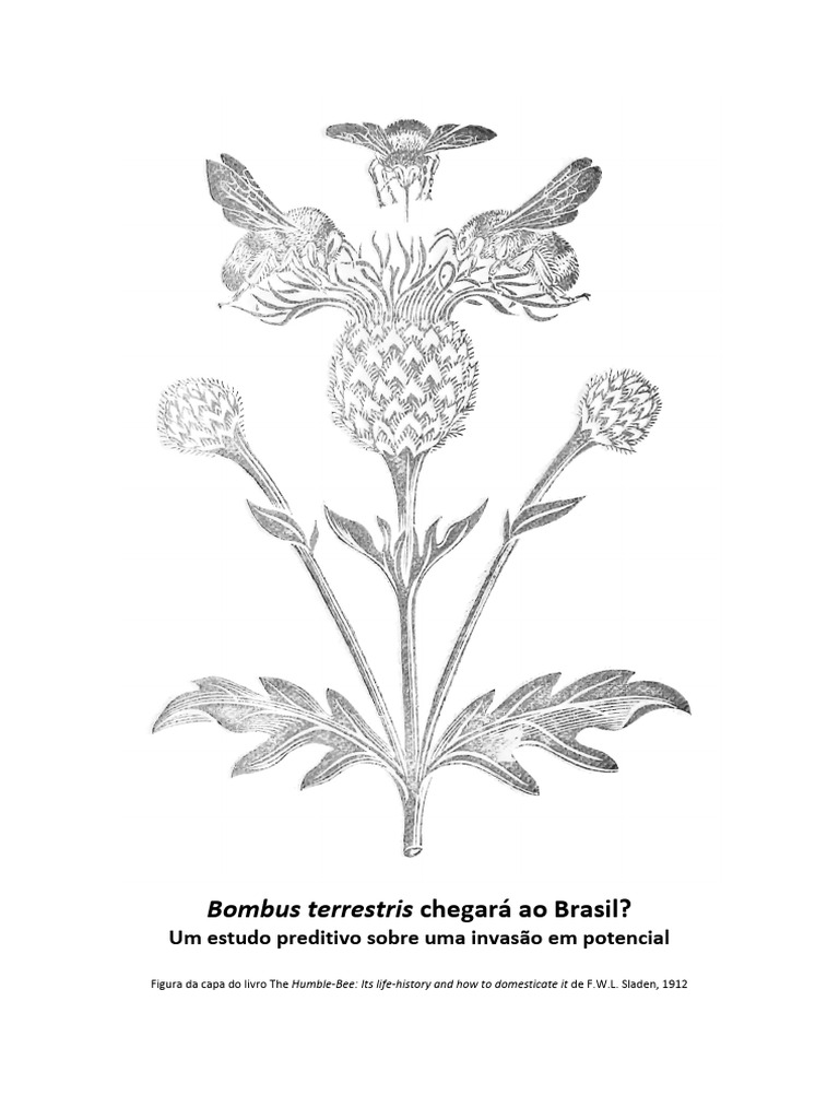 AndreLuis Acosta CORRIG | PDF | Abelhas | Flores