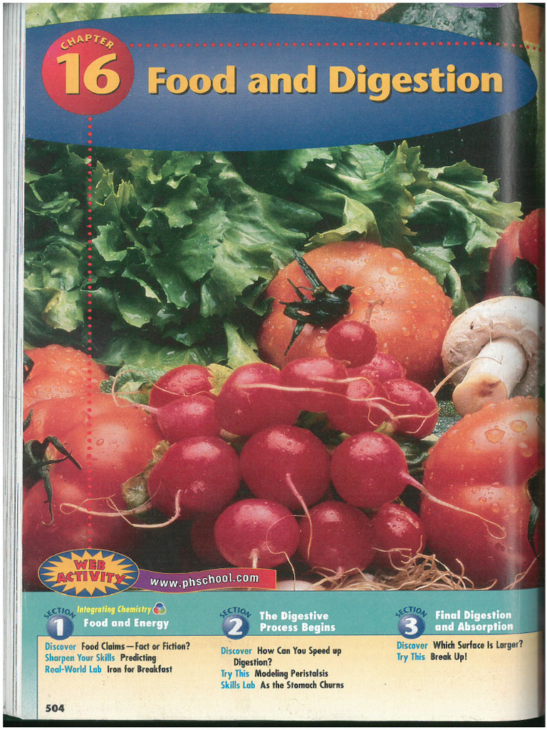 Food and Digestion TEXTBOOK | PDF