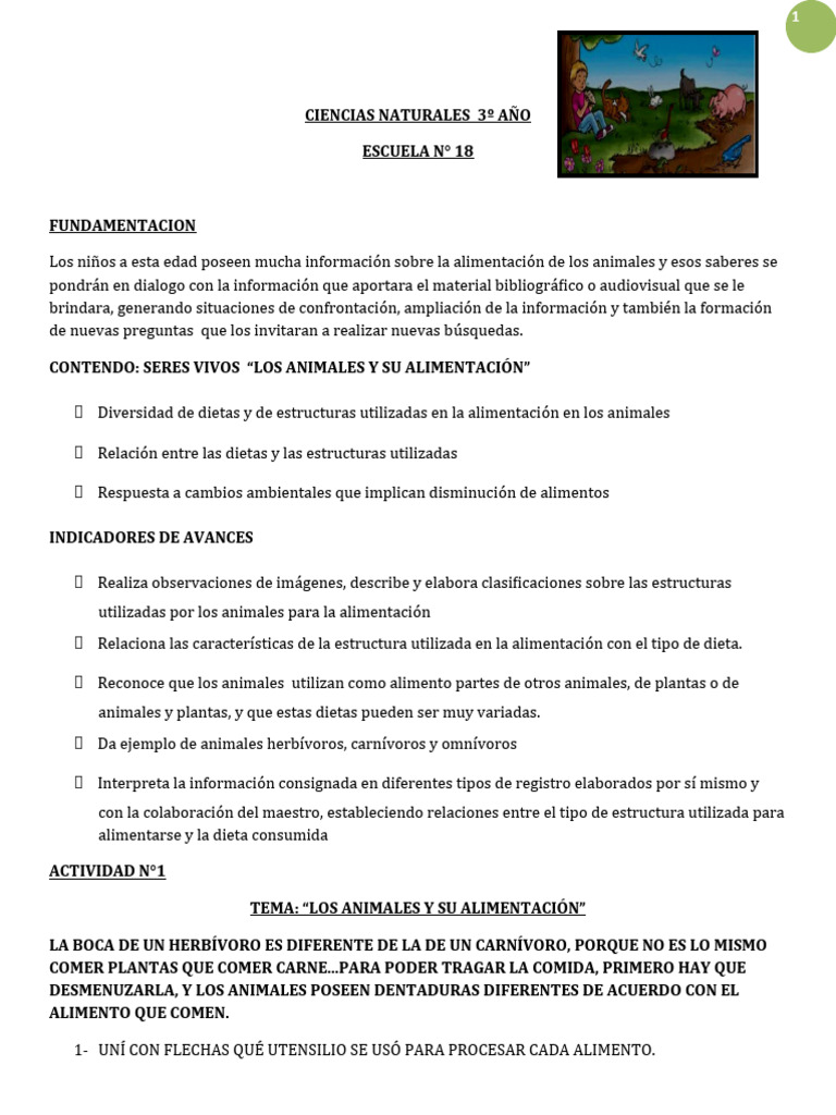 Alimentación y Estructuras de Animales | PDF | Diente | Boca
