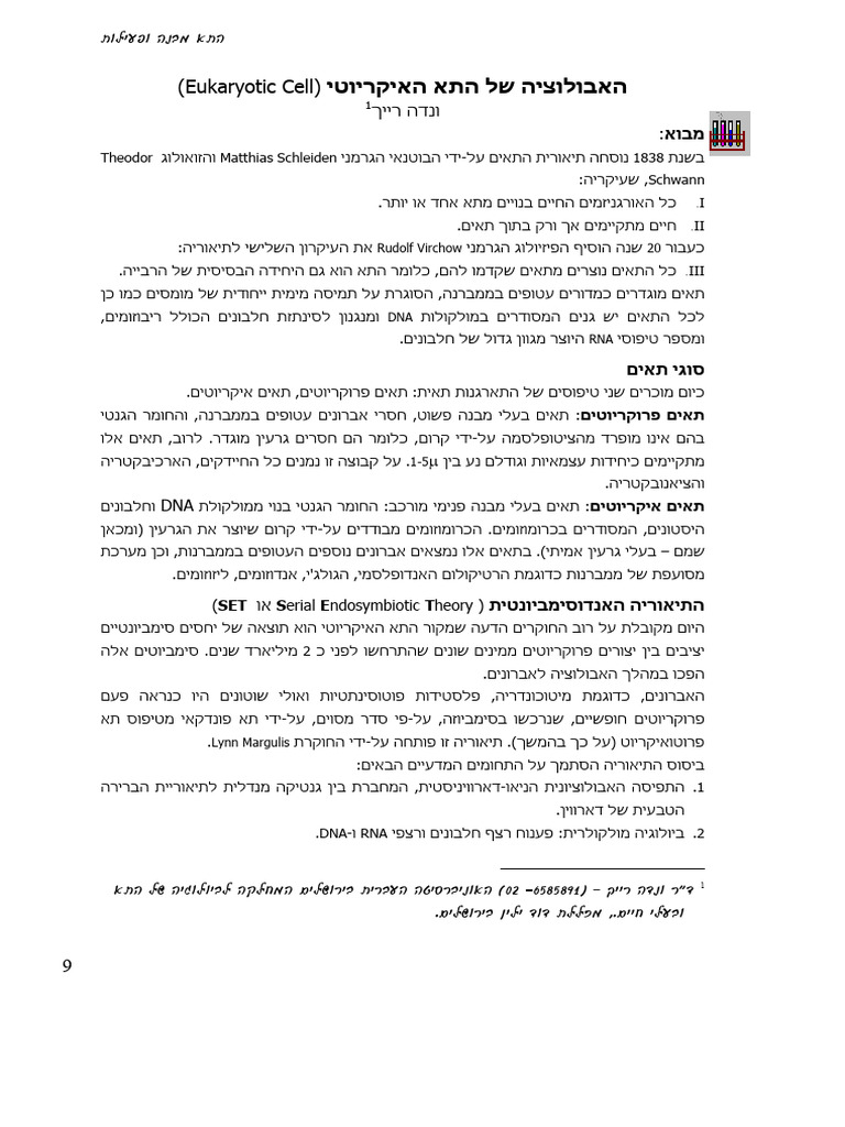 Alon170 Hta PDF | PDF