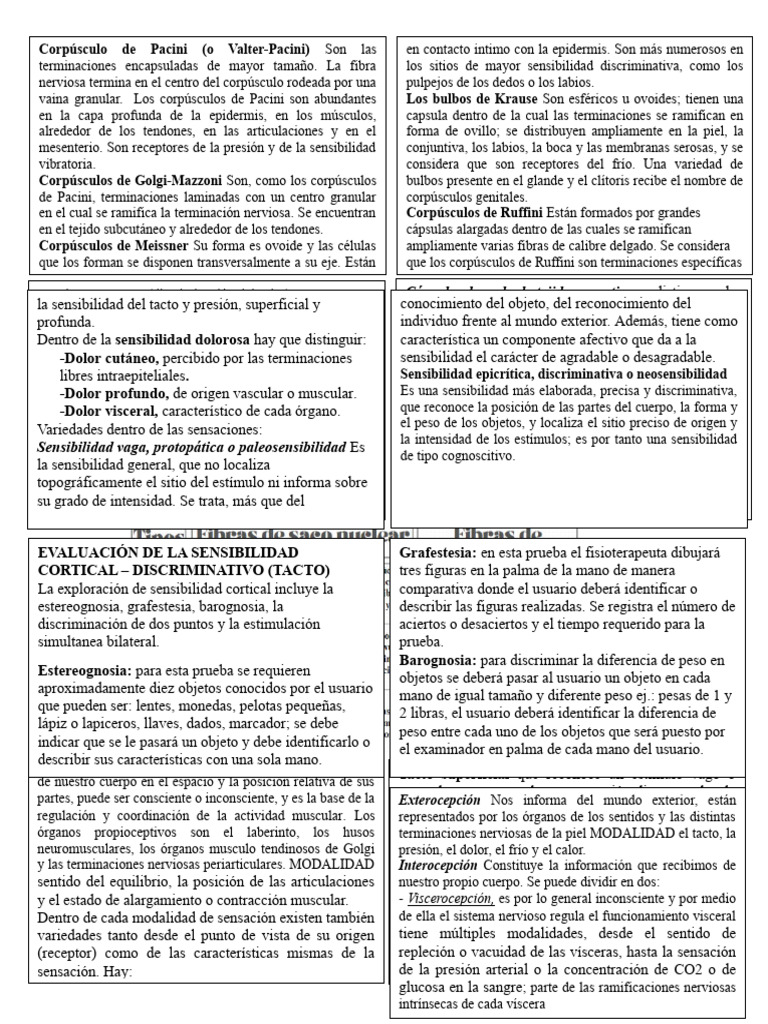 Función y ubicación del corpúsculo de Pacini | PDF | Músculo | Anatomía