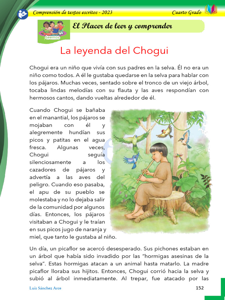 La leyenda del pájaro Chogüí | PDF | Aves | Ornitología