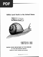 Anatomy of Snails | PDF | Mollusca | Molluscs