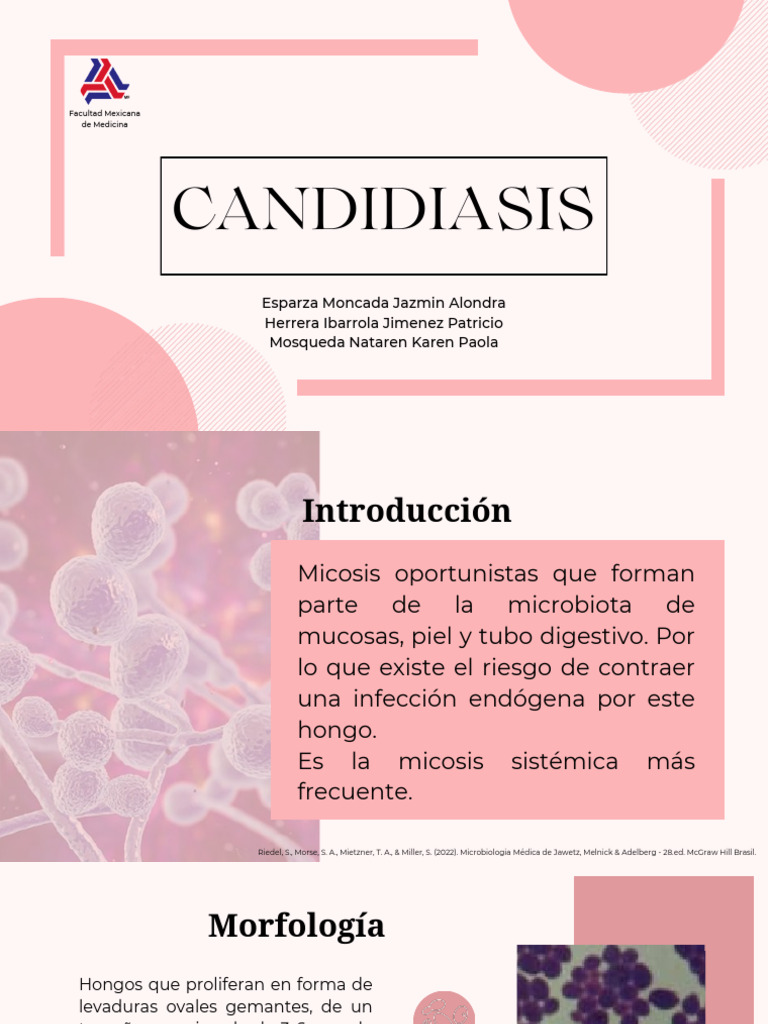 Candidiasis: Guía Médica y Epidemiológica | PDF | Candidiasis | Candida ...