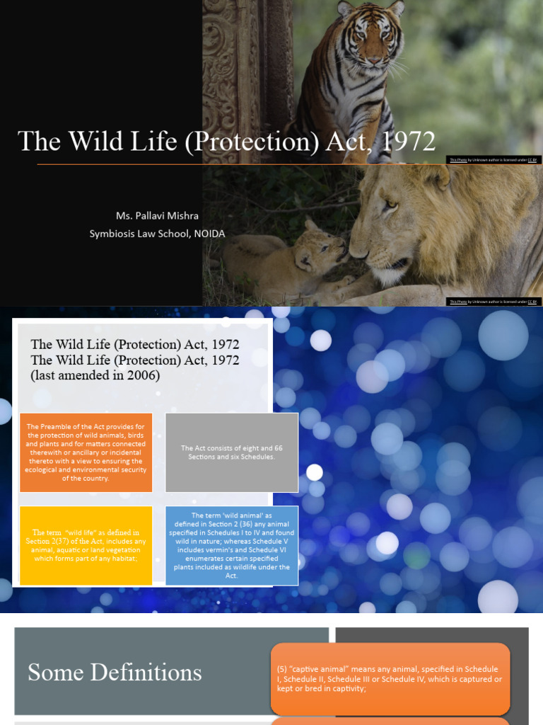 Framework of Wild Life (Protection) Act, 1972 | PDF | Hunting | Justice