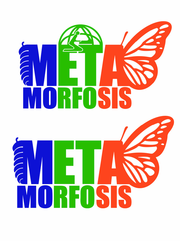 Meta Morfo | PDF