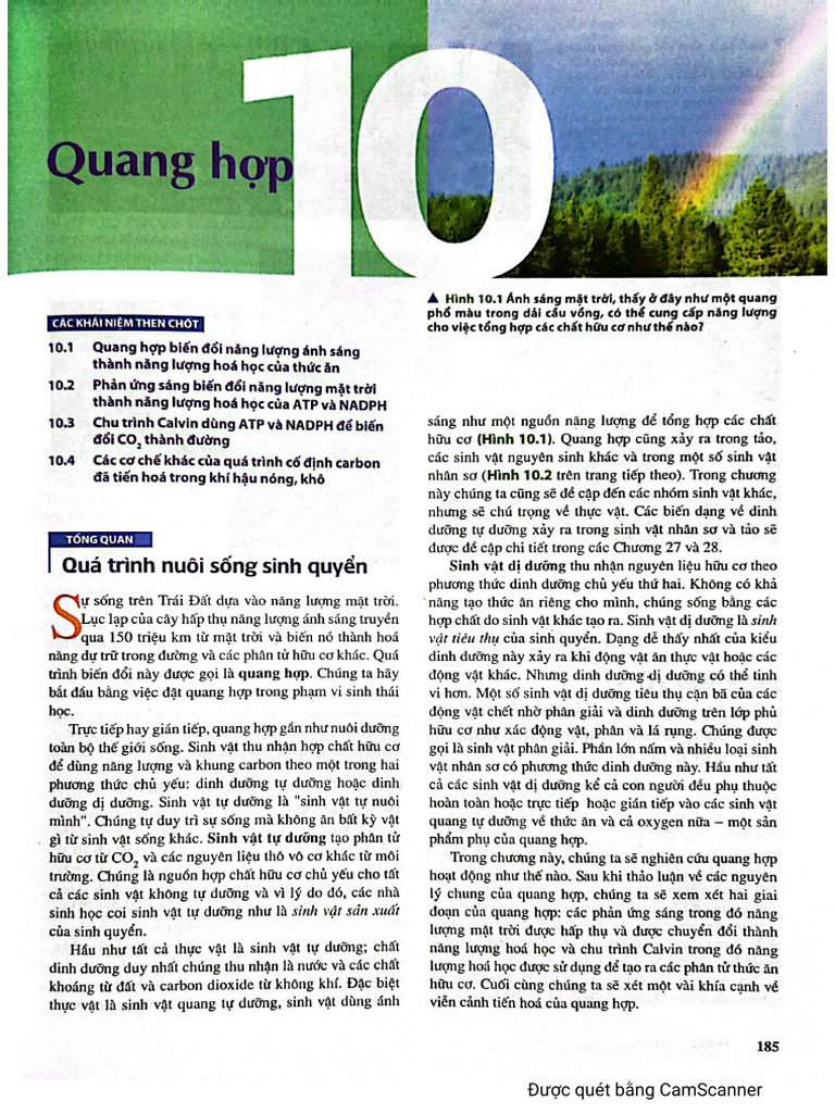 Quang Hop | PDF