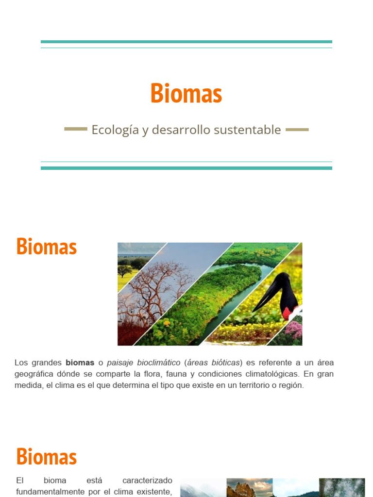 Biomas | PDF | Desierto | Selva