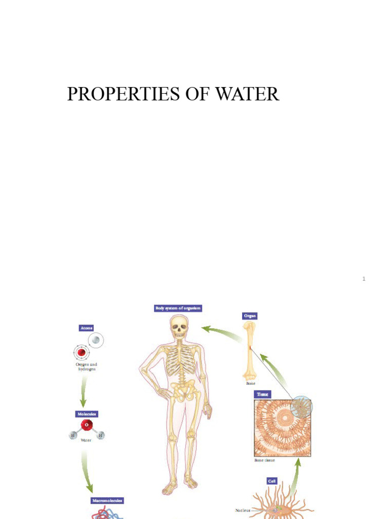Water Chemistry & Properties | PDF | Water | Properties Of Water