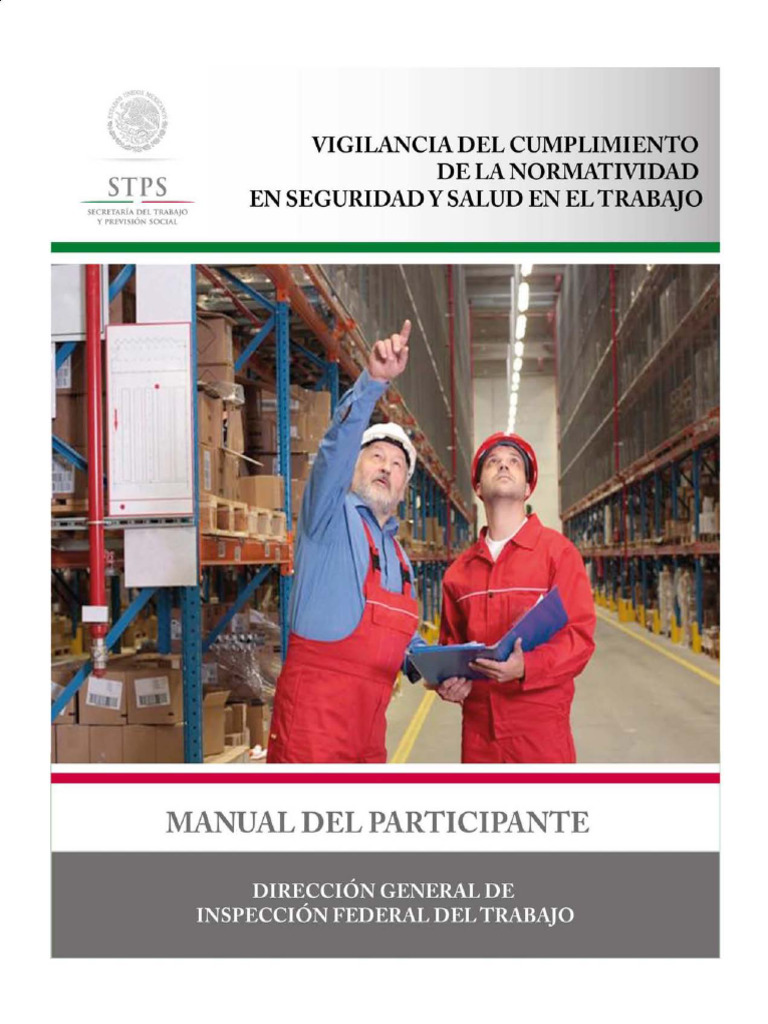 Seg e Higiene Manual STPS | PDF | Infrarrojo | Radiación ionizante