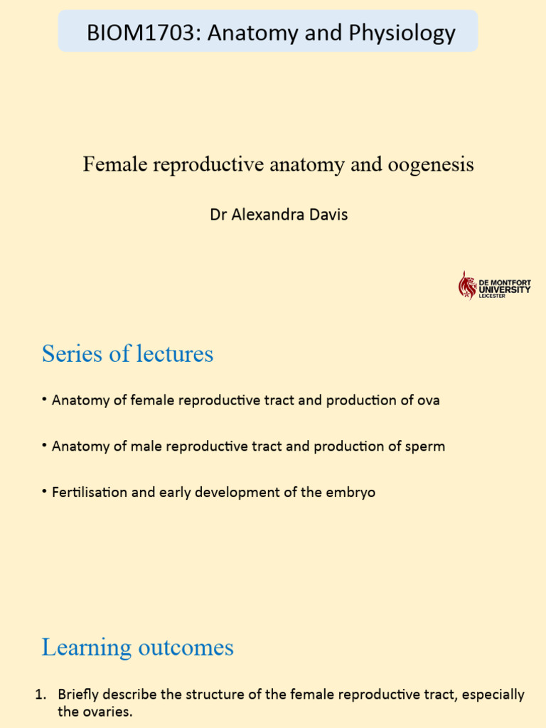 Female Reproductive System UPDATED STUDENT DrDavis 2024 | PDF | Ovary ...