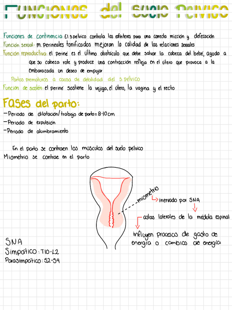 Fisio Uro 2 | PDF | Ovario | Parto
