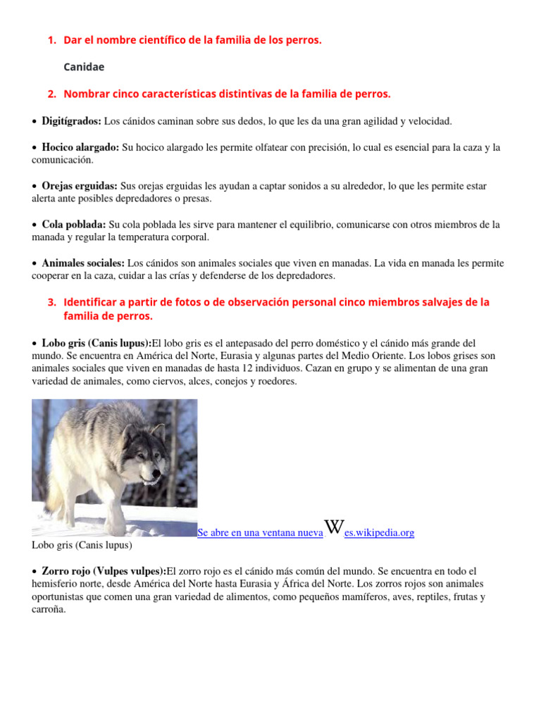 Características y contribuciones de los cánidos | PDF | Canidae | del perro