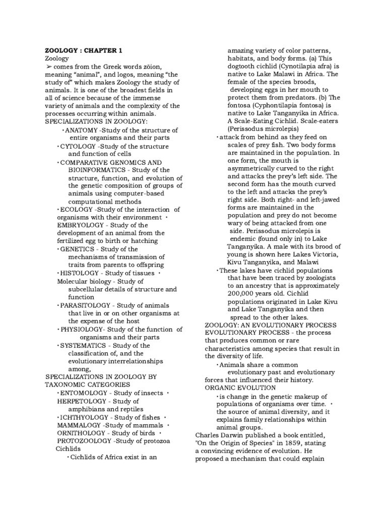 Zoology | PDF | Cell Membrane | Connective Tissue