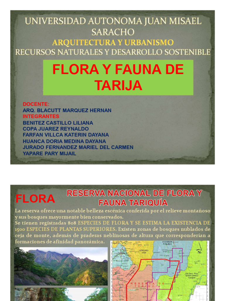 G-5 Glora y Fauna Tarija. | PDF | Jaguar
