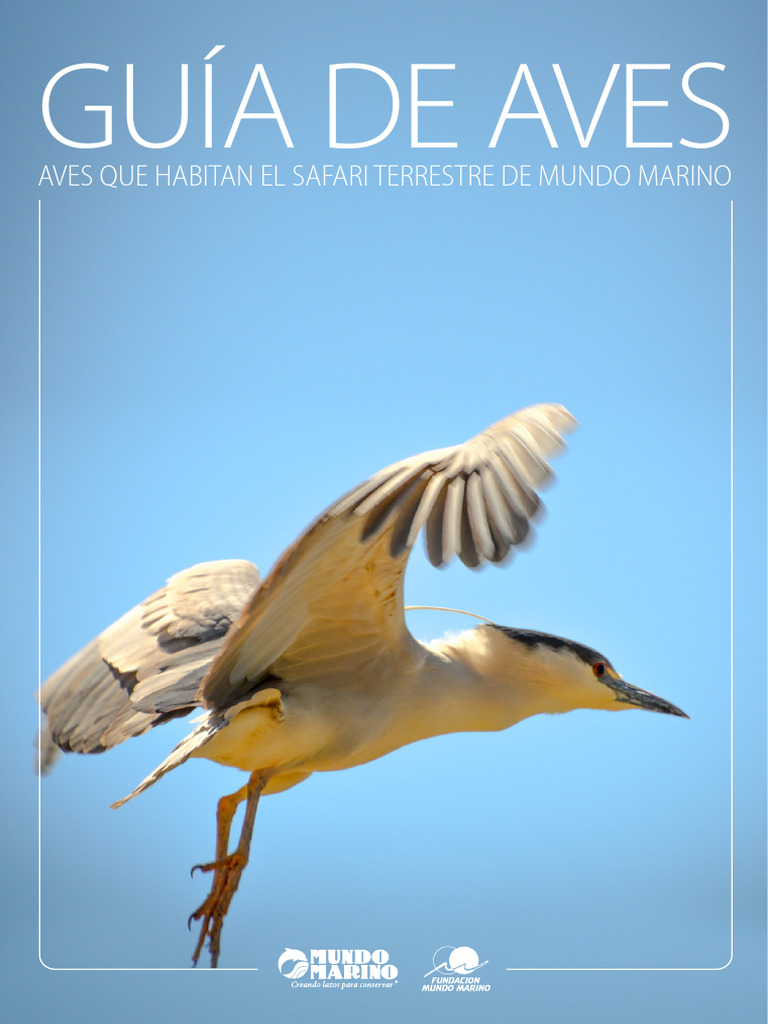 Guia de Aves Safari Terrestre | PDF | Aves | Ornitología