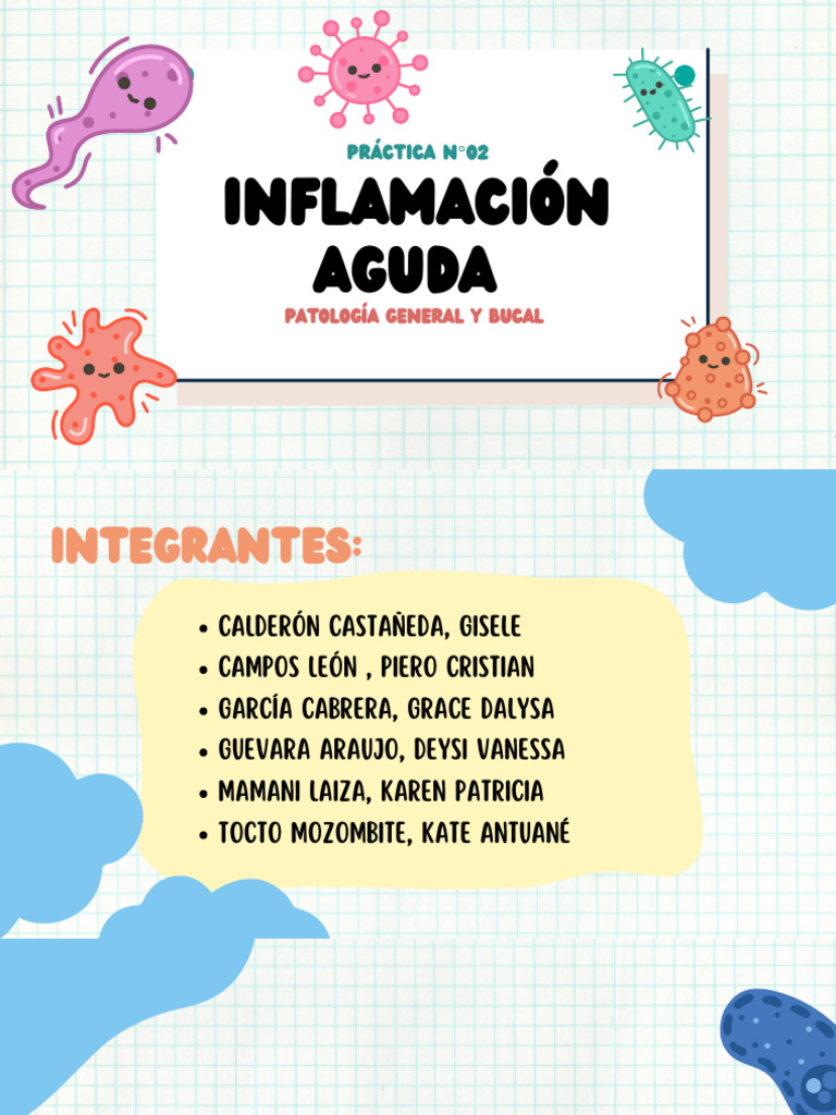 Inflamación Aguda - Práctica Nº2 | PDF | Inflamación | Enfermedades y ...