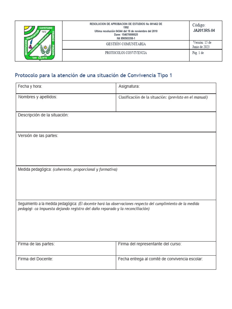 Formato PROTOCOLOS | PDF