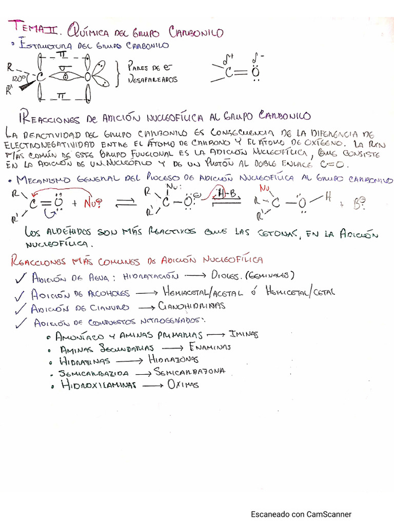 Tema II. Química Del Grupo Carbonilo | PDF