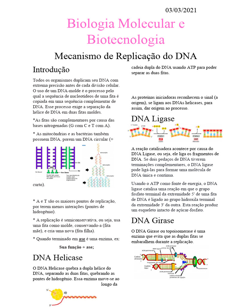 Mecanismo de Replicação Do DNA | PDF | DNA | Replicação de DNA