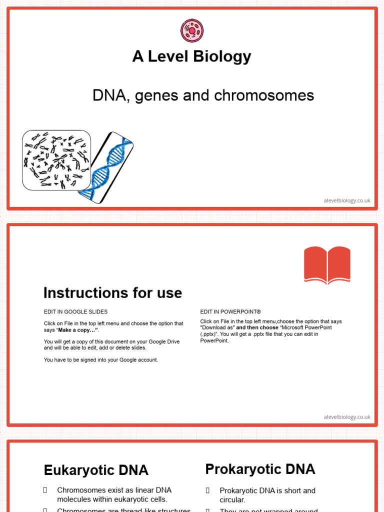 DNA, Genes and Chromosomes | PDF | Gene | Dna