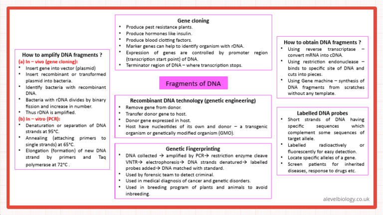 Fragments Of Dna Pdf Recombinant Dna Dna