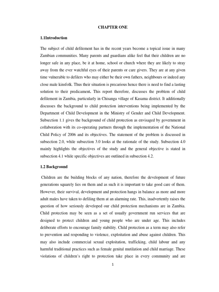 Main Document | PDF | Focus Group | Methodology