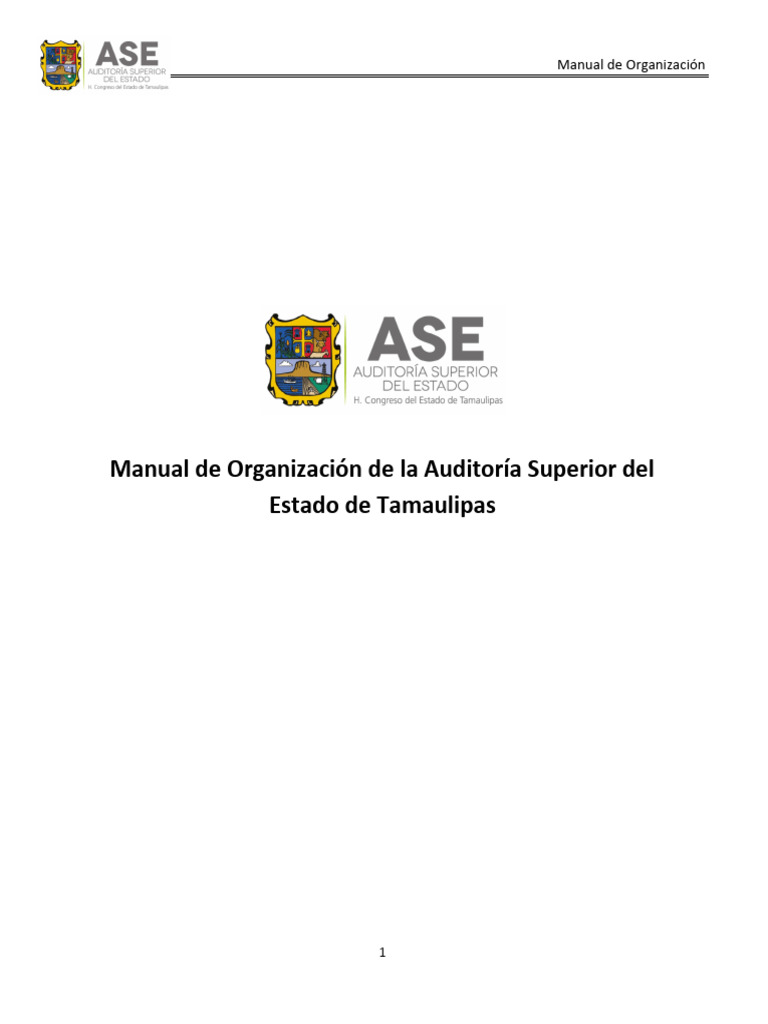 Manual de Organizacion ASE 2018 | PDF | Auditoría | Contralor