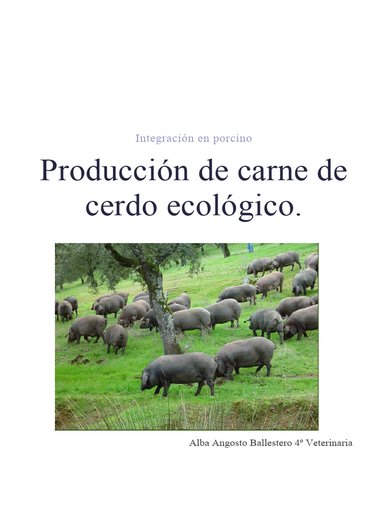 Cerdo Ecológico | PDF | Carne | Cerdo