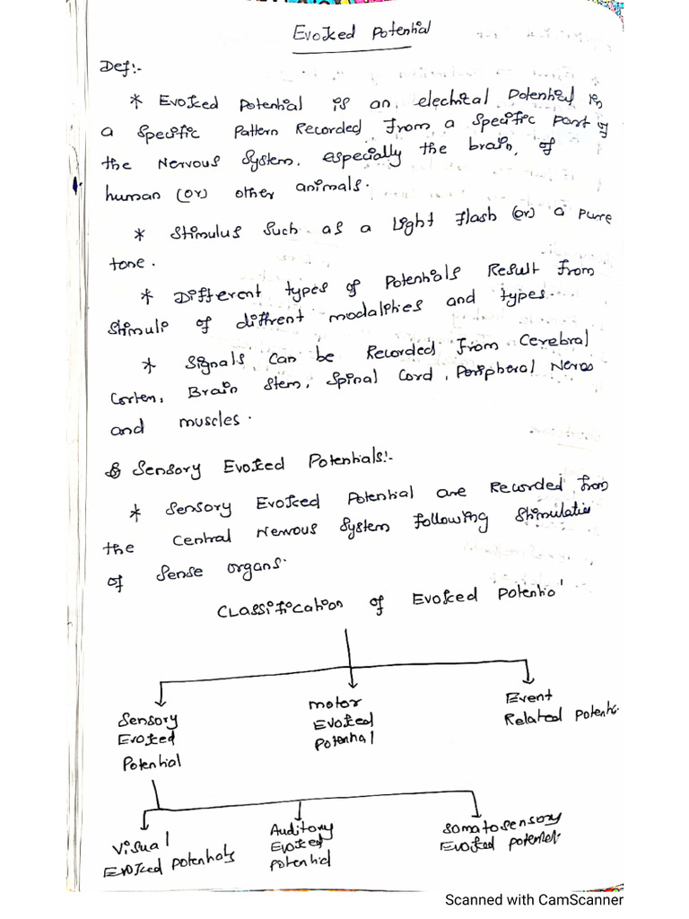 Evoked Potentials | PDF