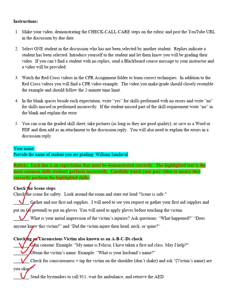 Andrew Flores CPR Peer Review Rubric 1 | Download Free PDF | Cardiopulmonary Resuscitation