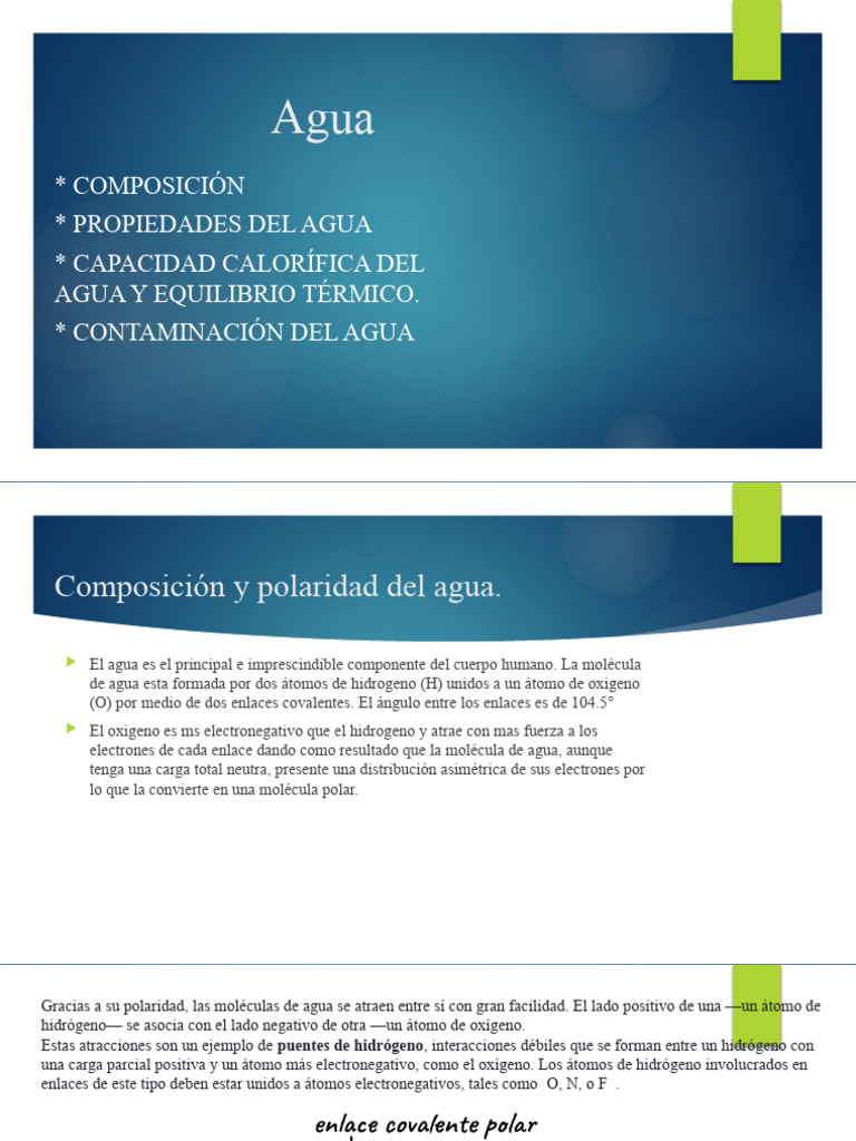 Agua | PDF | Propiedades del agua | Polaridad química