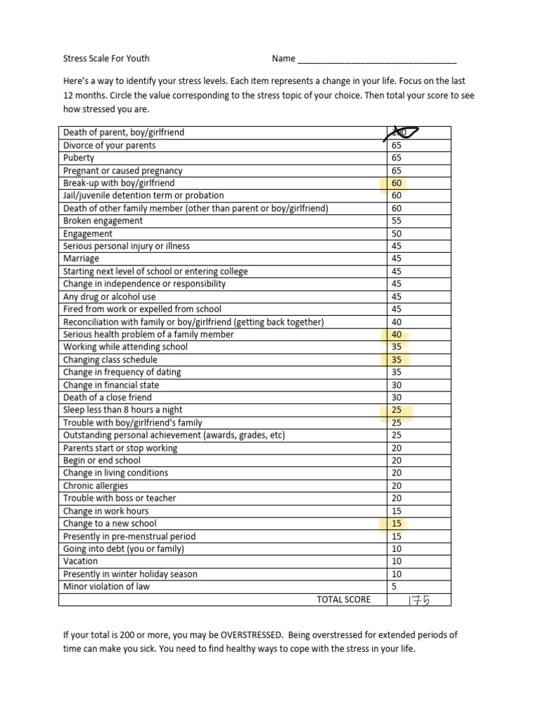 Youth Stress Assessment Tool | PDF | Stress (Biology)