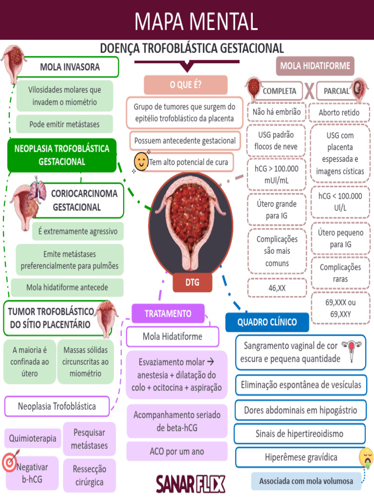 Mapa Mental Doença Trofoblástica Gestacional | PDF | Causas de morte ...