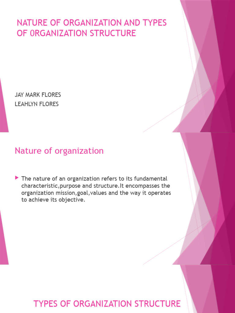 Nature of Organization and Types of 0rganization Structure | PDF