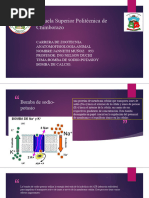 Función y Regulación del Calcio en Células | PDF | Neurona | Biología ...