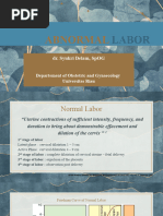 Calculate Montevideo Units in Labor | PDF