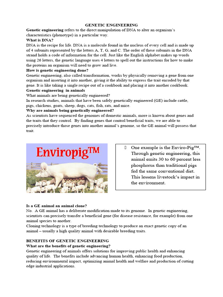 GENETIC ENGINEERING - Module | PDF | Human Body | Genetic Engineering