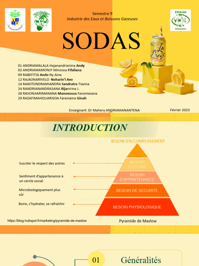2 Sodas | PDF | Boisson | Soda