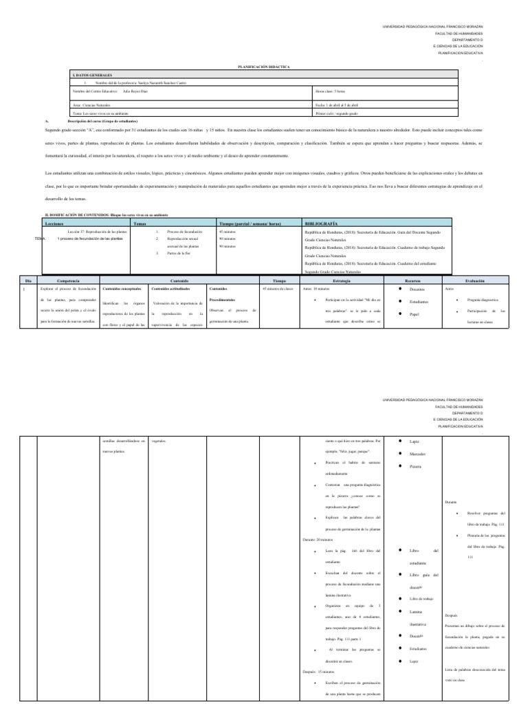 Plan 2 CCNN SASKYA-1 | PDF | Aprendizaje | Reproducción
