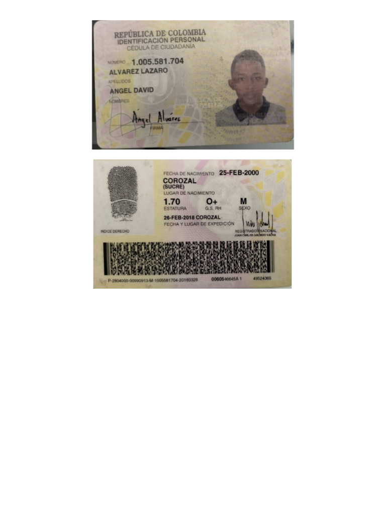 Cedula Angel y Luis | PDF