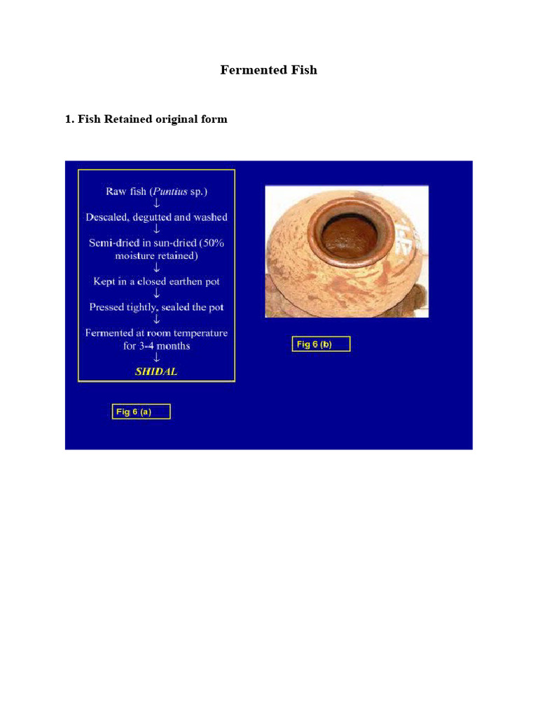 Fermented Fish | PDF