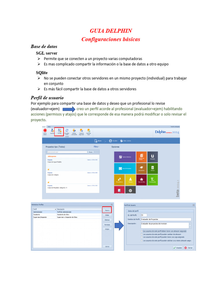 Guia Delphin | PDF | Bases de datos | Archivo de computadora