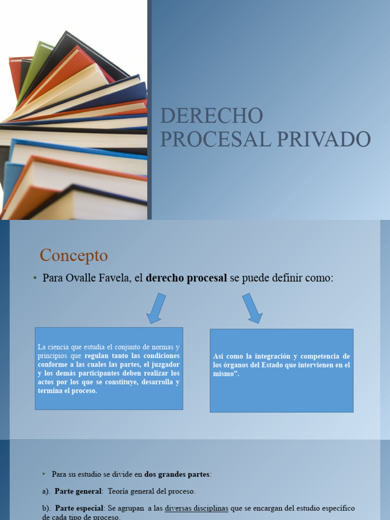 Derecho Procesal Privado: Conceptos Clave | PDF | Ley procesal ...