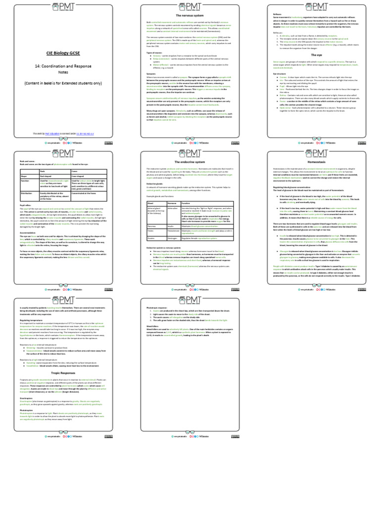Summary Notes - Topic 14 Coordination and Response - CIE Biology IGCSE ...