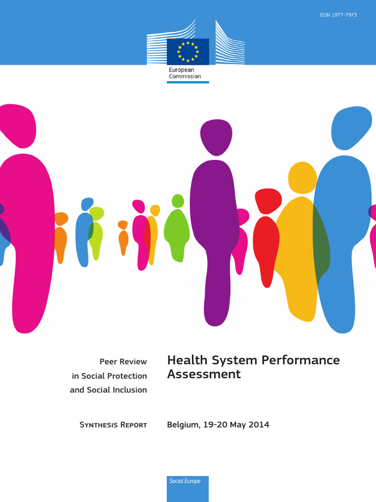 BE-2014 - Synthesis Report - EN | PDF | Health System | World Health ...