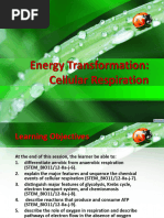 Answer Key Cellular Respiration Pogil | PDF | Cellular Respiration ...