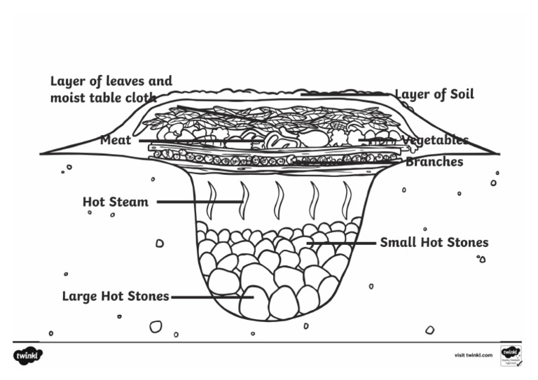 Labelled Diagram of A Hangi Colouring Sheet Ver 1 | PDF