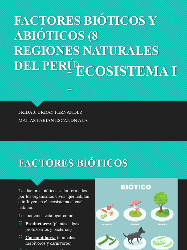 Regiones Naturales del Perú: Factores Bióticos y Abióticos | PDF | Perú ...